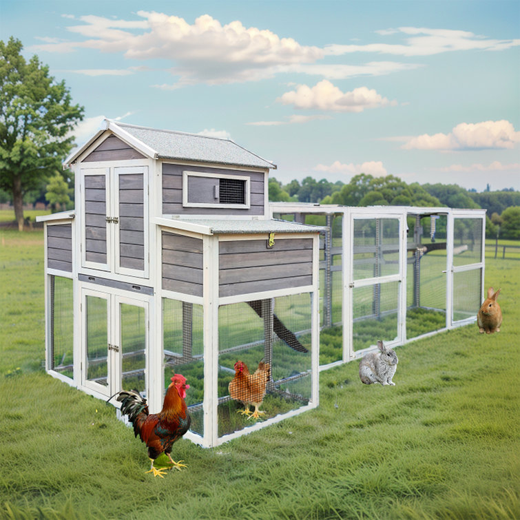Tucker Murphy Pet™ Ermaline 150"W Wood Large Chicken Coop with Run,Rust-proof Metal Wire Poultry ...